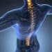 Philip Zakko, MD - Atlantic Orthopaedics & Sports Medicine